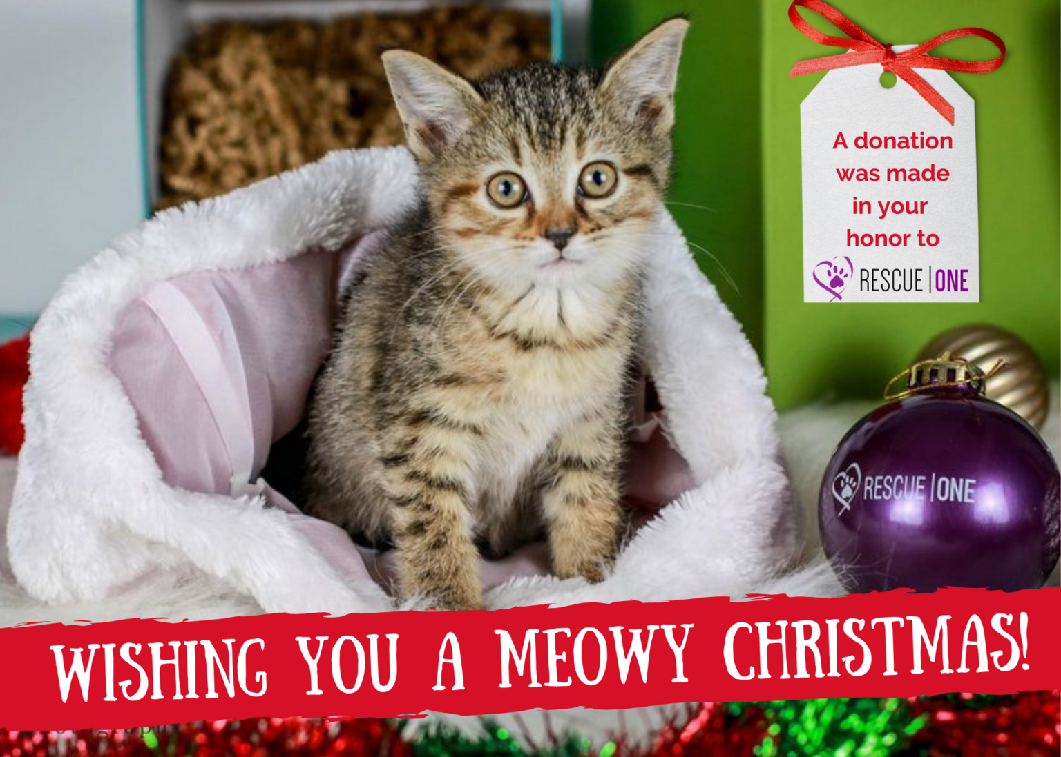 Meowy Christmas – Rescue One